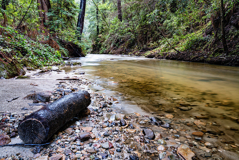 Pierre Steenberg | Shooting forest streams: Part II
